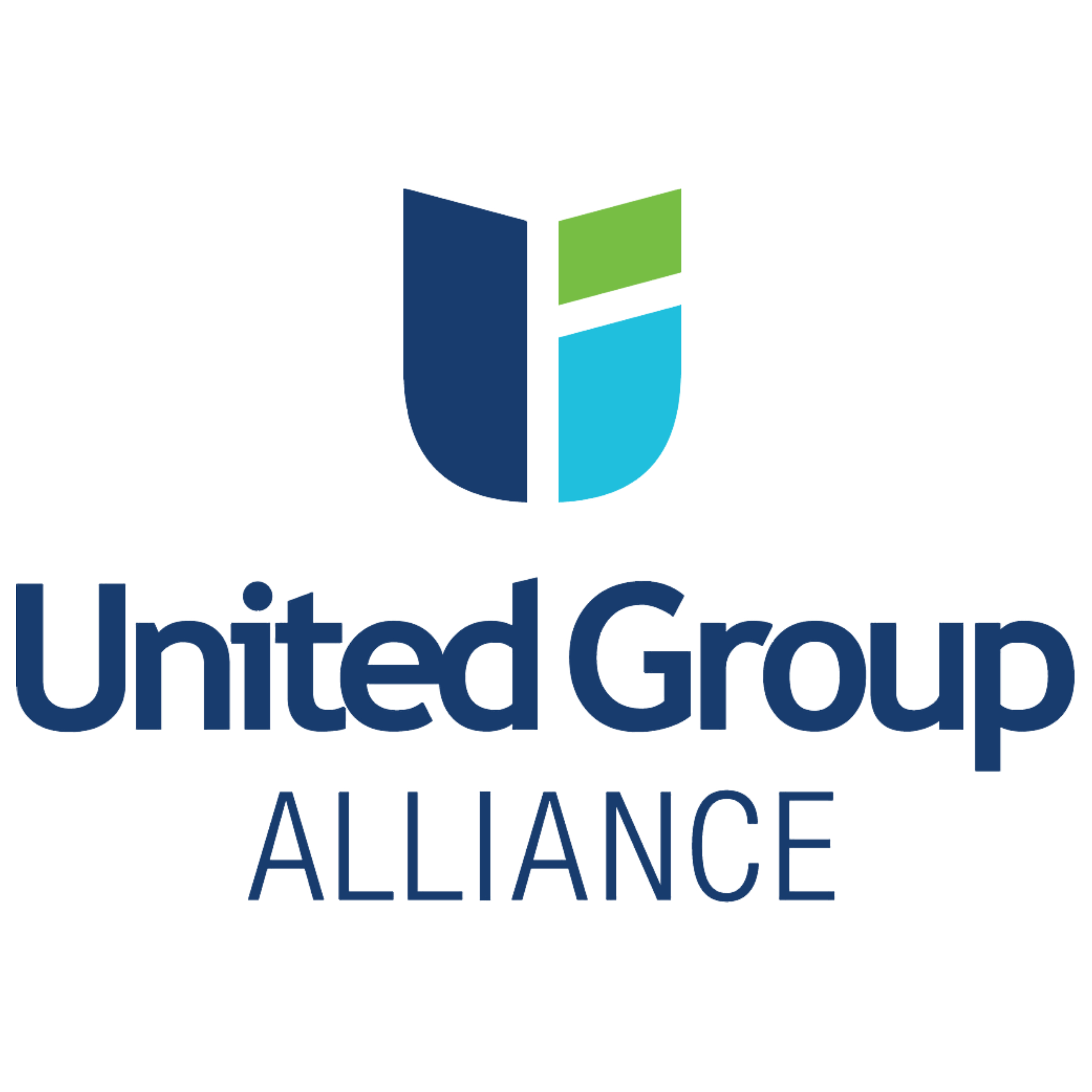 United Group Logo Homepage | United Homes Group
